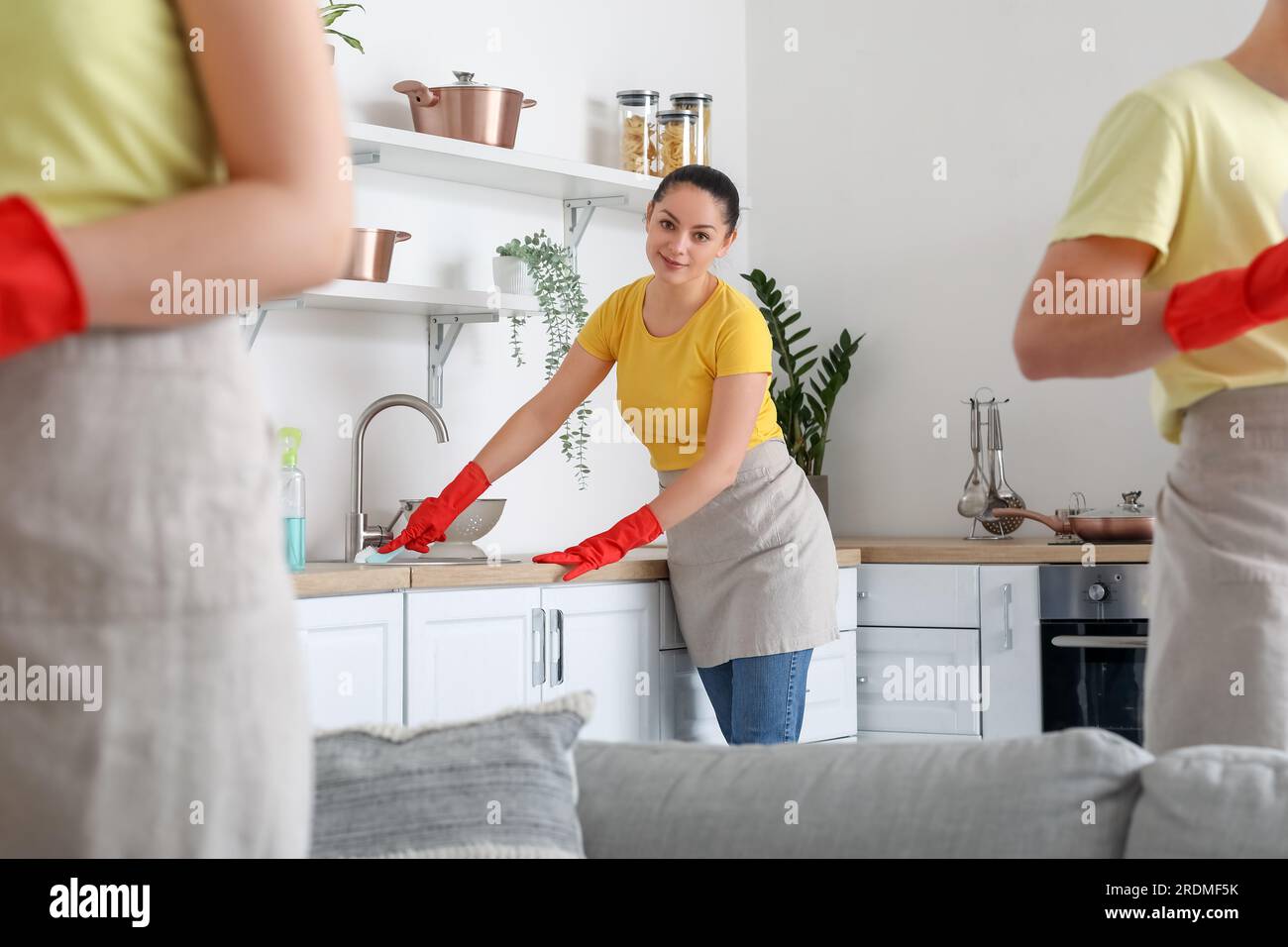 Female janitor cleaning counter in kitchen Stock Photo - Alamy