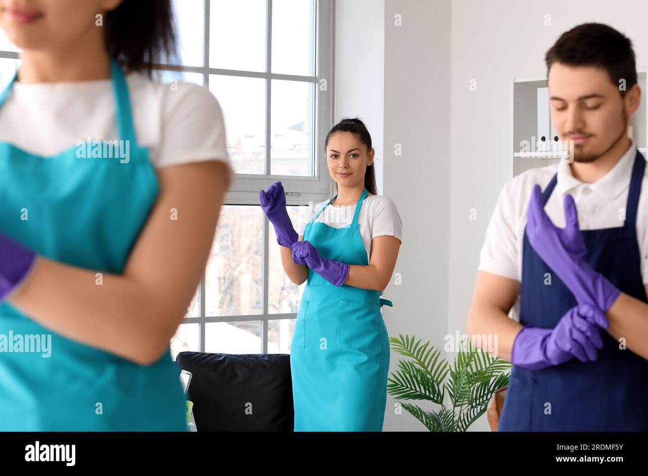 Female janitor putting rubber gloves in office Stock Photo - Alamy