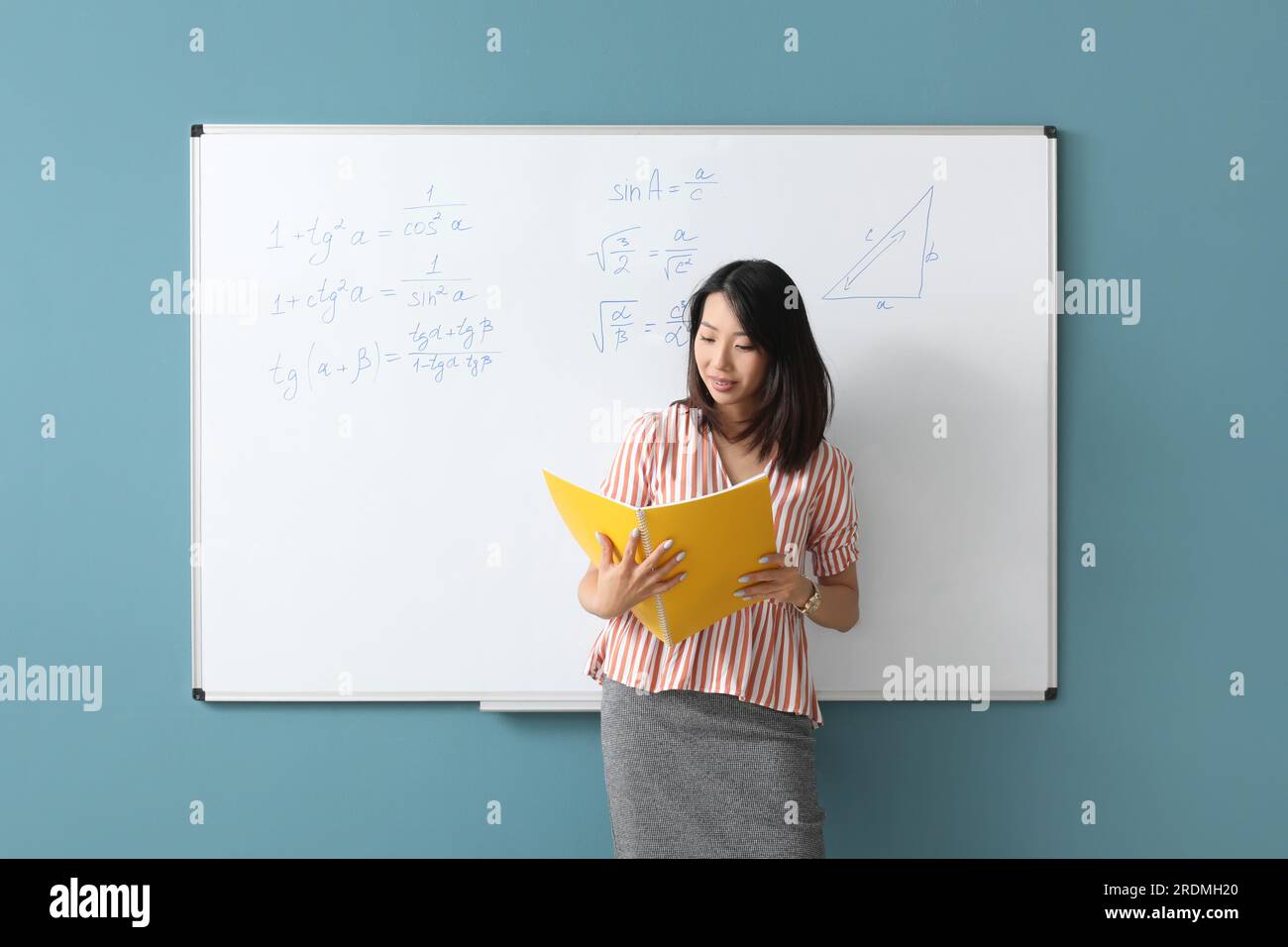 Asian Math teacher with notebook near flipboard in classroom Stock ...