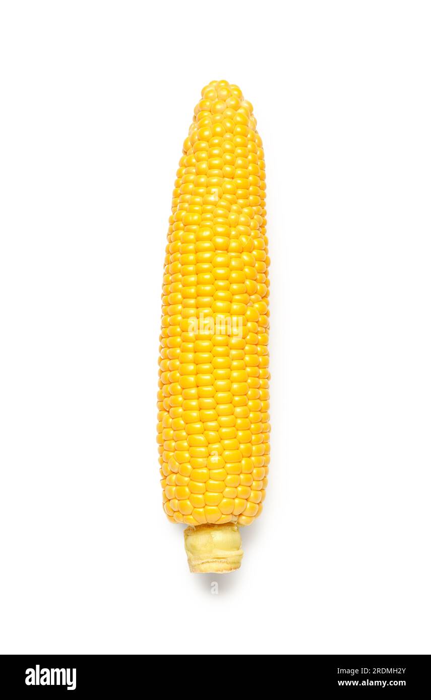 Fresh corn cob on white background Stock Photo - Alamy