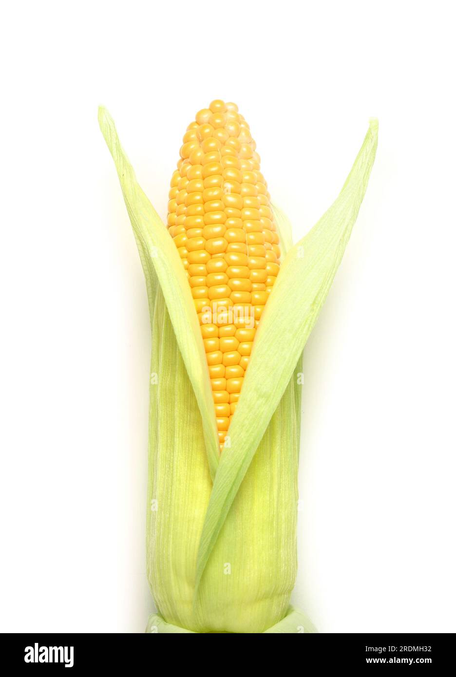 Fresh corn cob on white background Stock Photo - Alamy