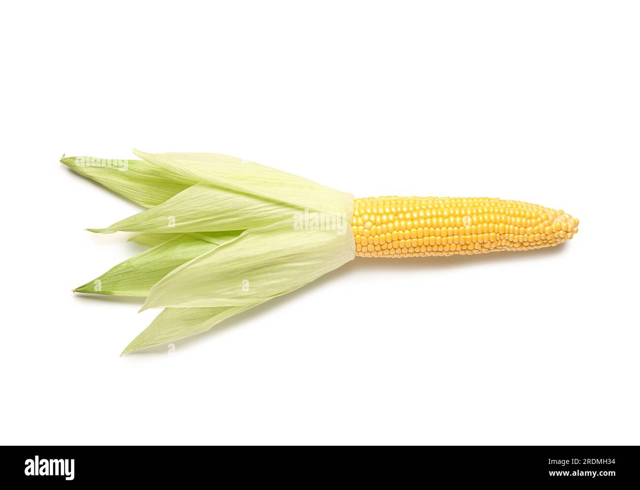 Fresh corn cob on white background Stock Photo - Alamy