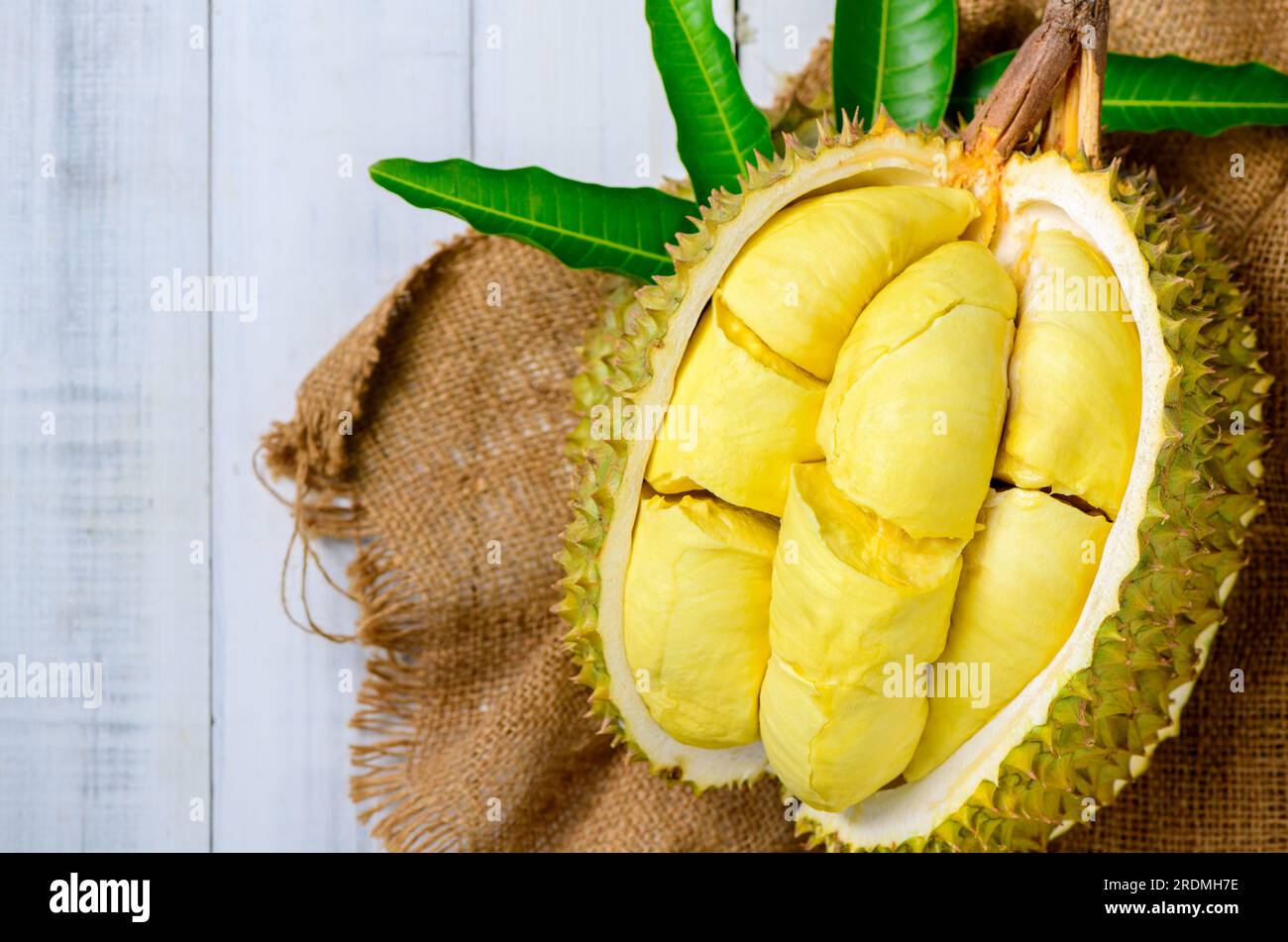 top view of Durian fruit. Ripe monthong durian on white wood background, king of fruit from ...