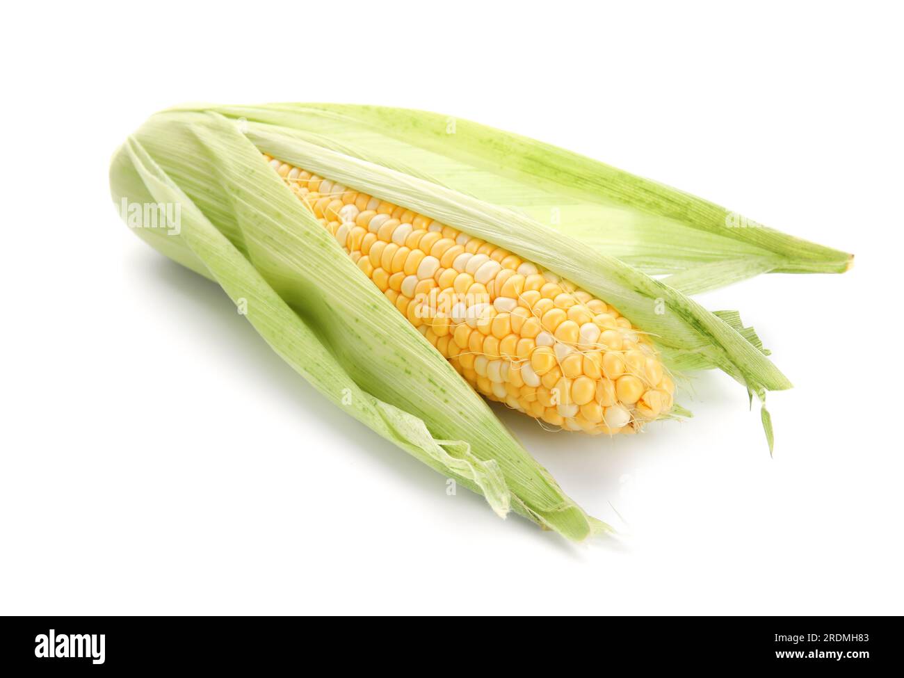 Fresh corn cob on white background Stock Photo - Alamy