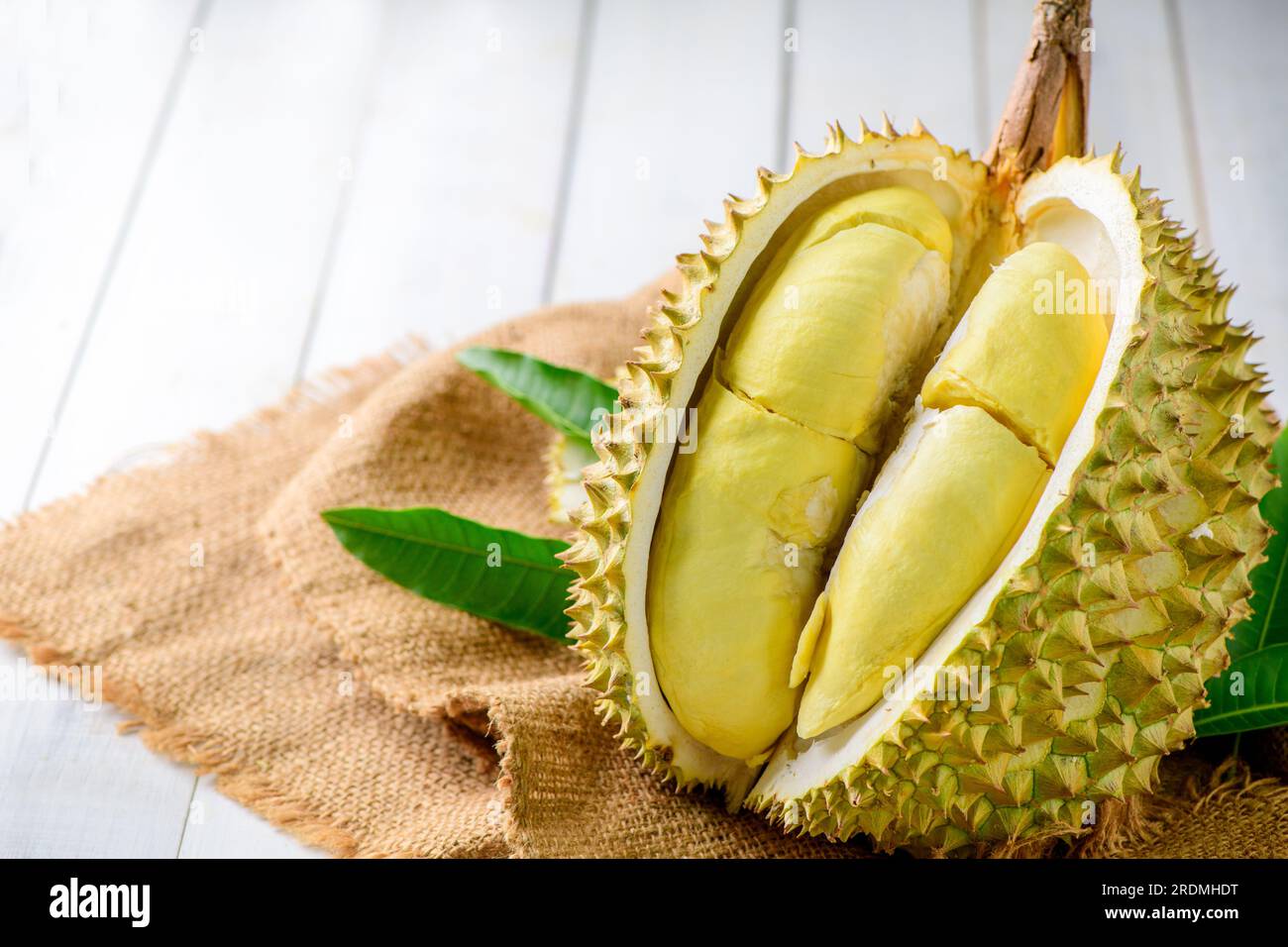 Durian fruit. Ripe monthong durian on sack and white wood background, king of fruit from ...