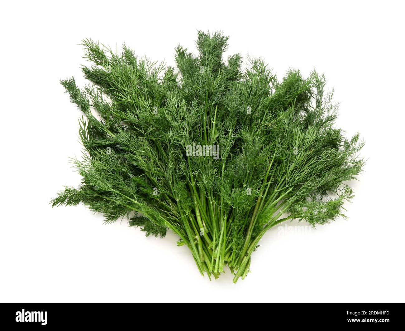 Fresh dill isolated on white background Stock Photo - Alamy