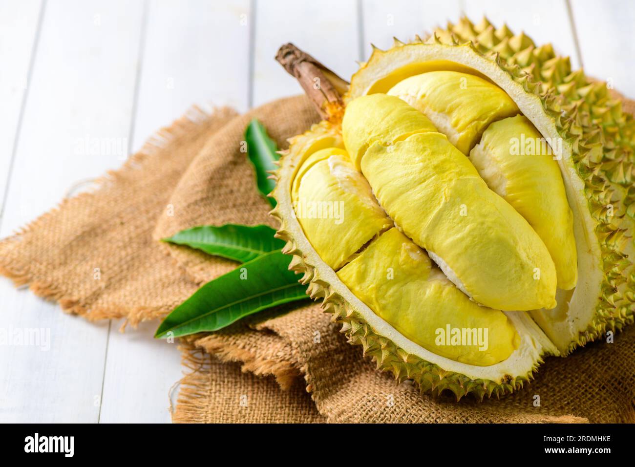 Durian fruit. Ripe monthong durian on sack and white wood background, king of fruit from ...