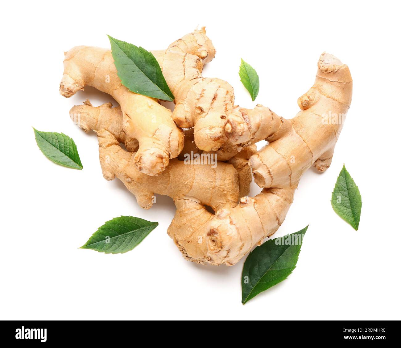 Fresh ginger roots and leaves on white background Stock Photo - Alamy
