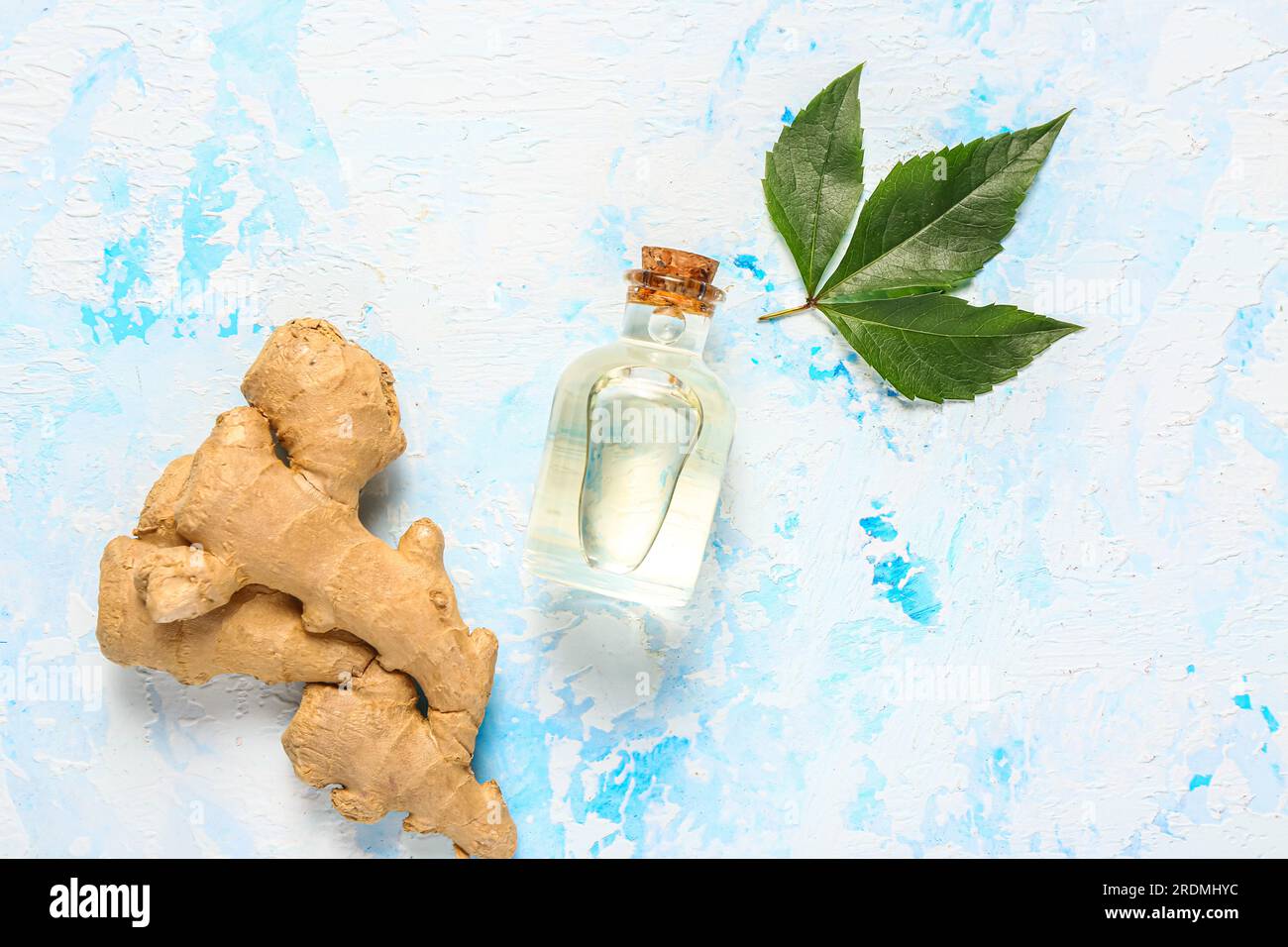 Bottle of ginger cosmetic oil and leaves on light blue background Stock ...