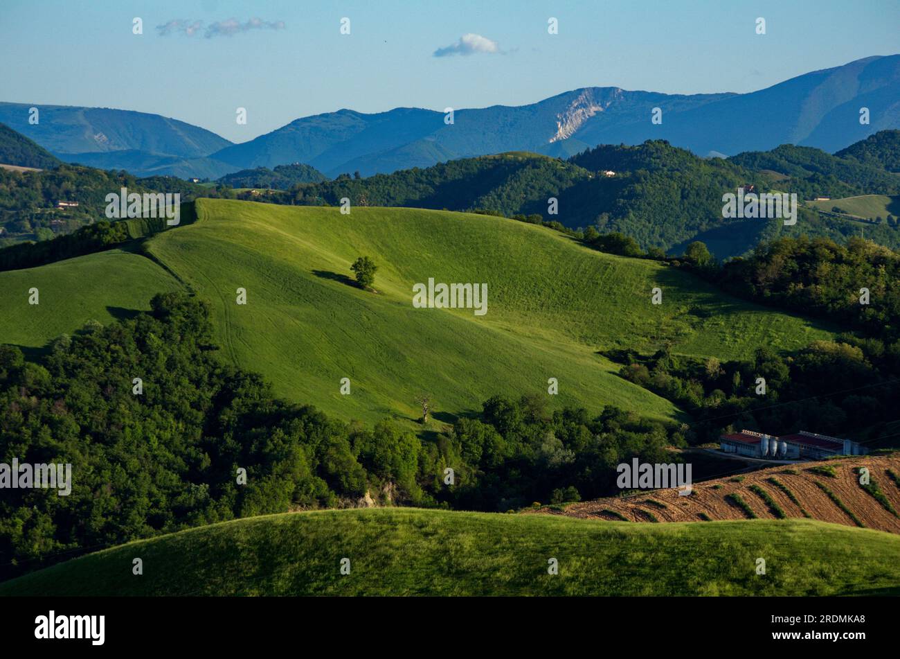 panorama della campagna marchigiana del montefeltro Stock Photo - Alamy