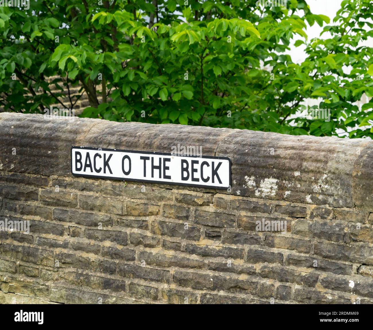 Back of the beck hi-res stock photography and images - Alamy