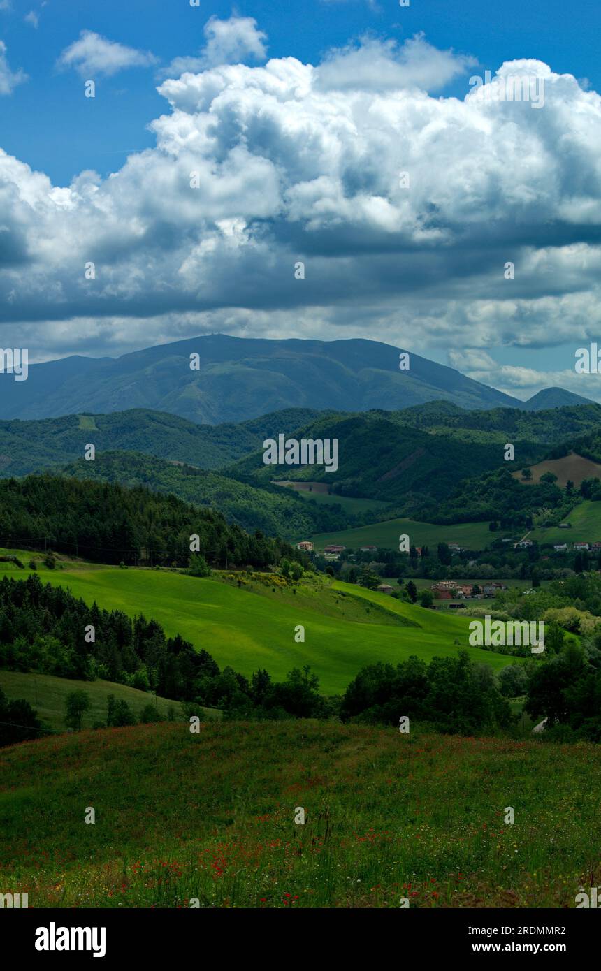 panorama della campagna marchigiana sullo sfondo del monte Nerone Stock ...