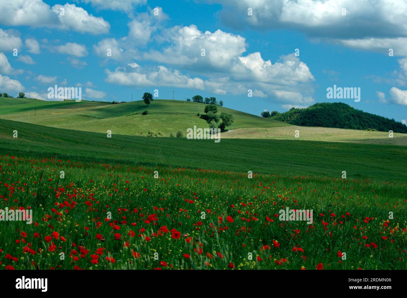panorama della campagna marchigiana del montefeltro Stock Photo - Alamy