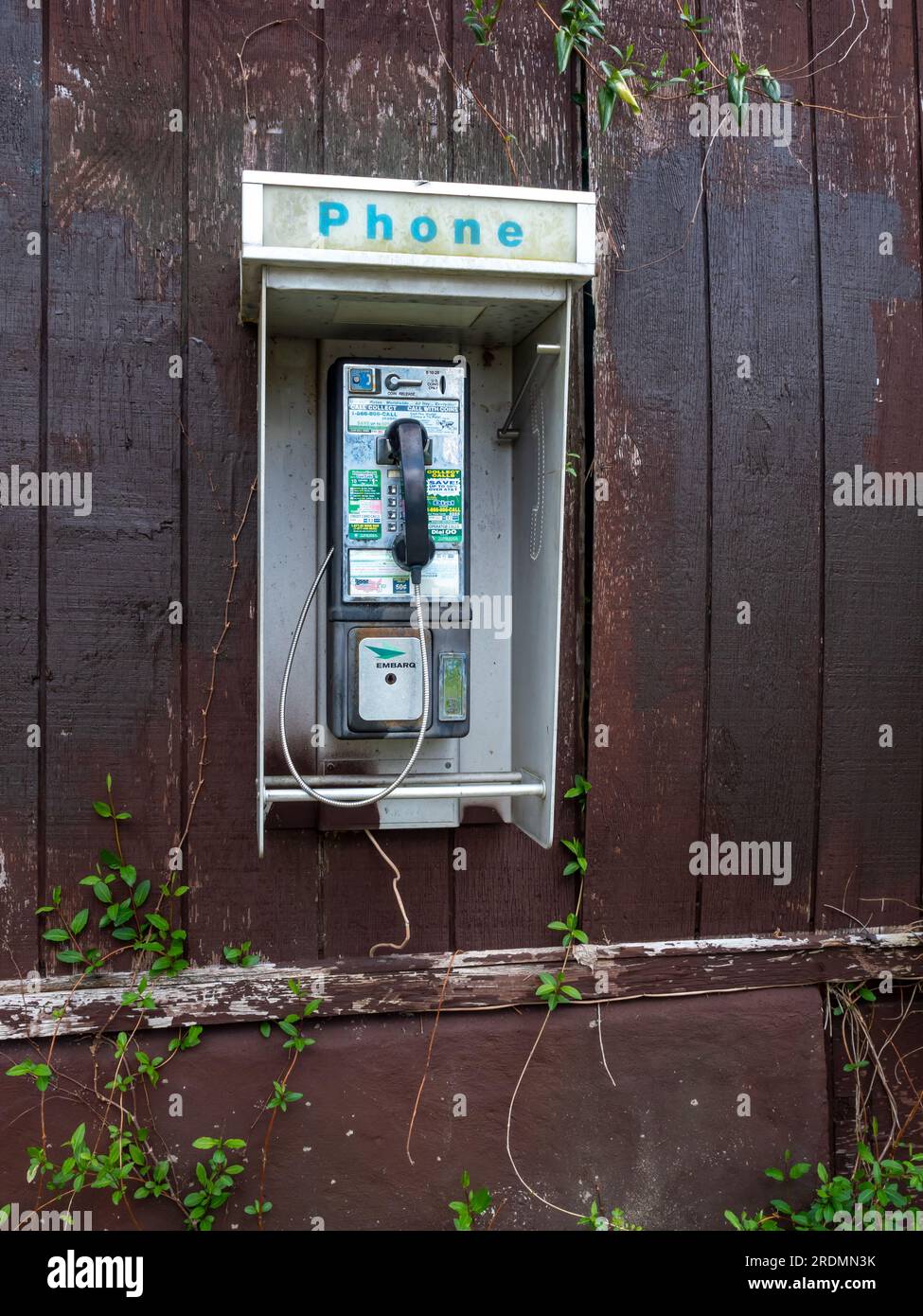 old phone booth in the state park wilderness Stock Photo - Alamy