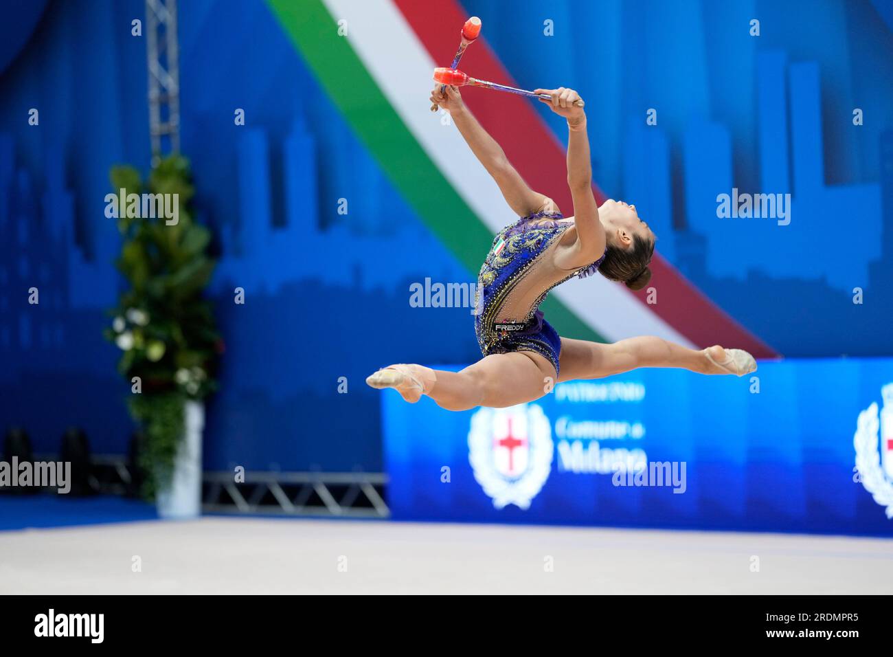 Viola sella hi-res stock photography and images - Alamy