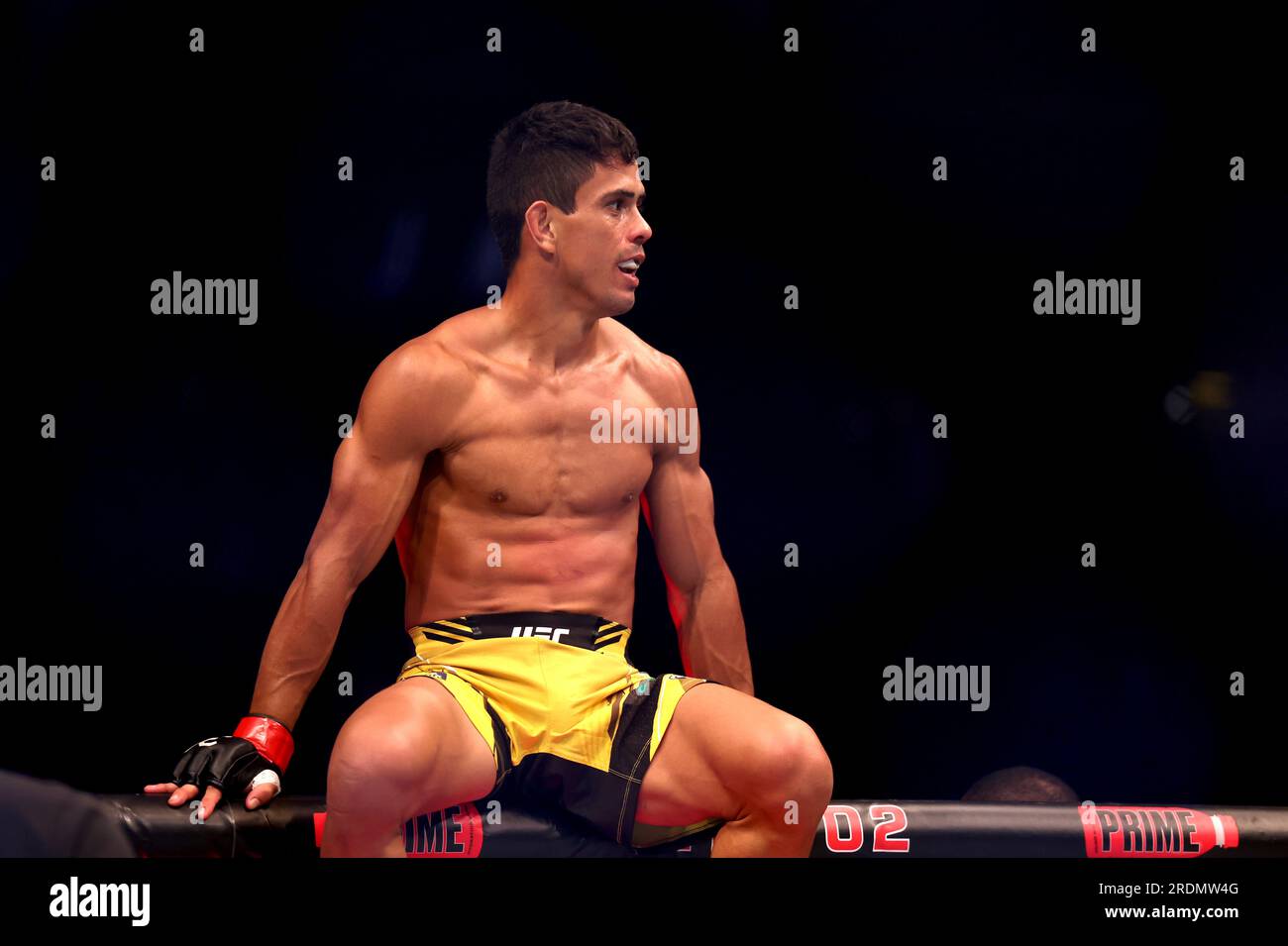 Jafel hi-res stock photography and images - Alamy