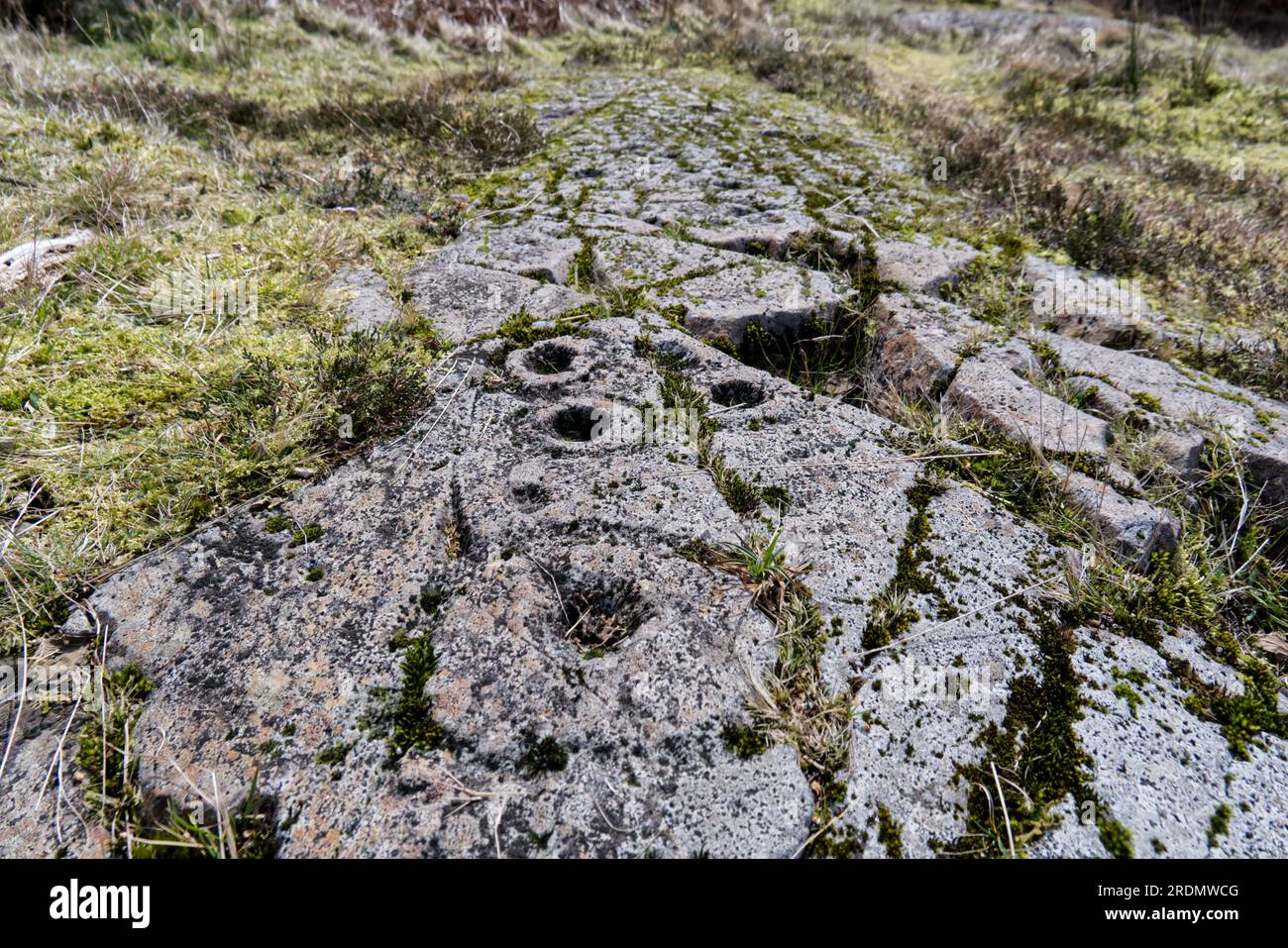 Neolithic art hi-res stock photography and images - Alamy