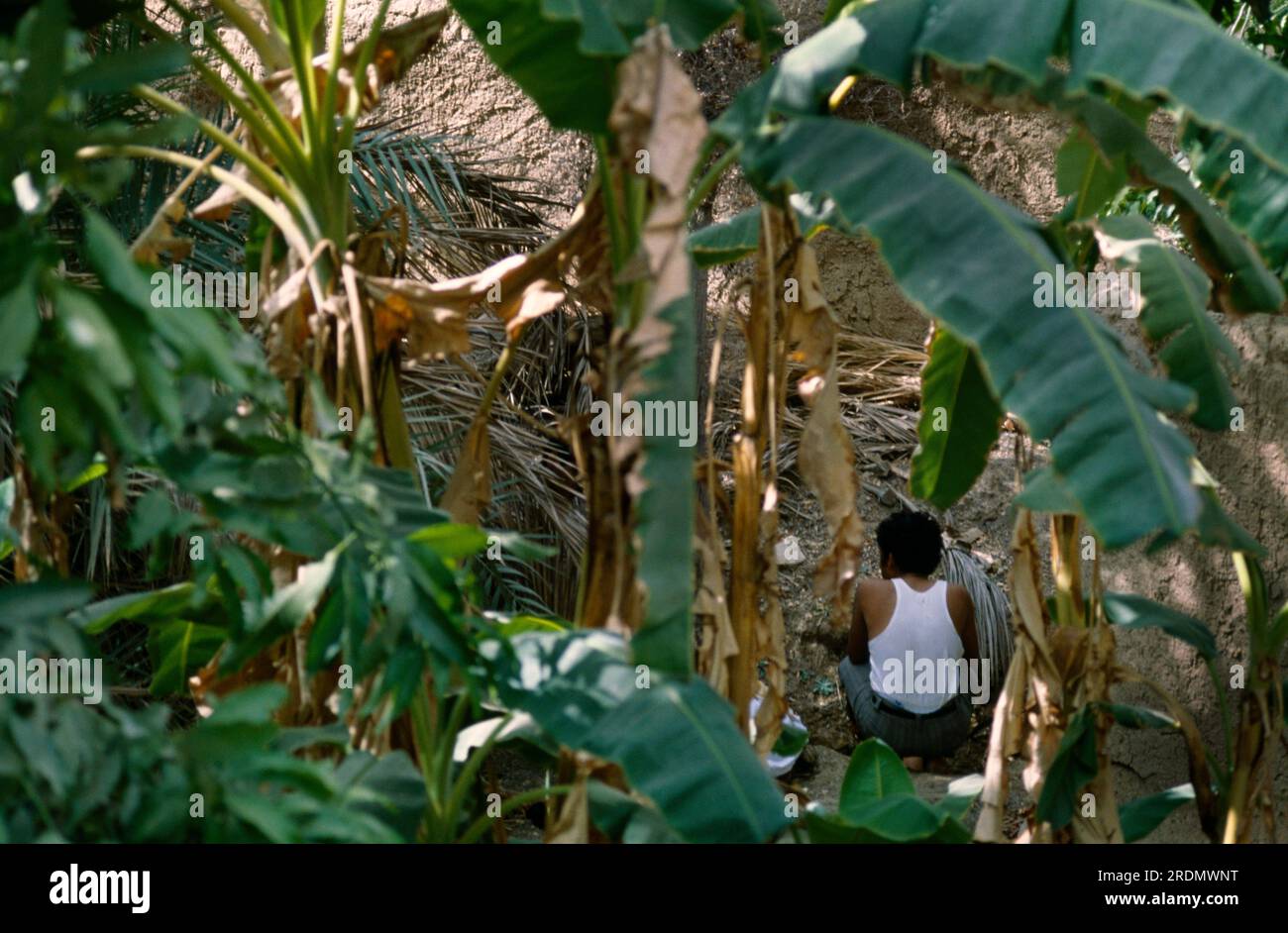 Burami hi-res stock photography and images - Alamy