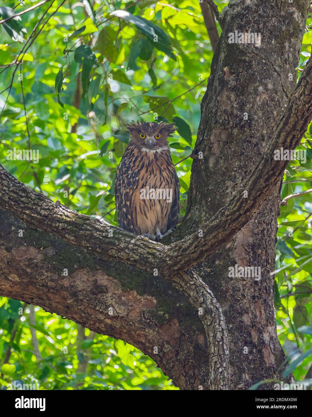 Angry mood hi-res stock photography and images - Alamy