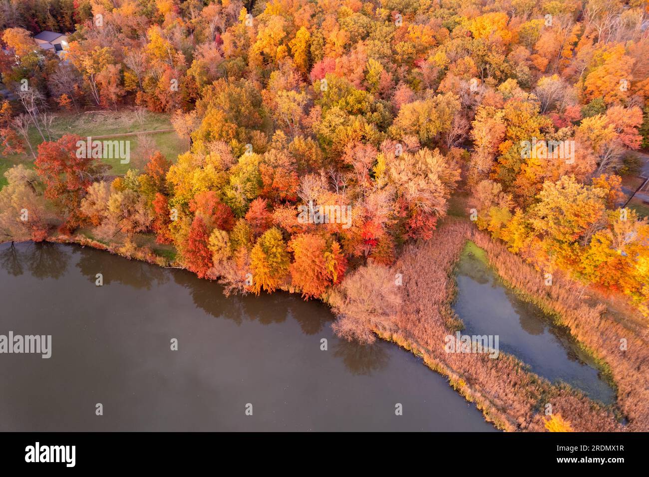 An aerial view of fall foliage at Fancher-Davidge Park in Middletown, N ...