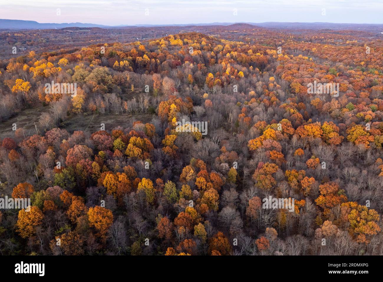 An aerial view of trees with yellow and brown leaves at Highland Lakes ...