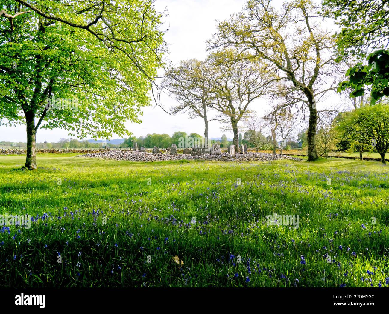 Temple Wood South Cairn, Kilmartin Glen Neolithic Site, Kilmartin ...