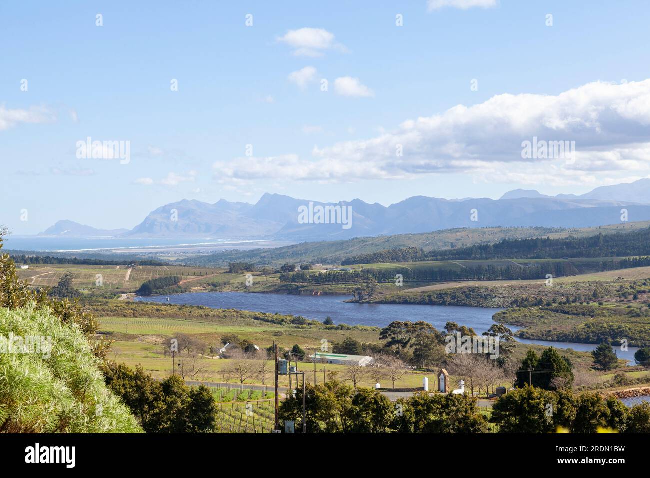 View over the Hemel-en-Aarde Valley, Hermanus, Overberg, Western Cape ...
