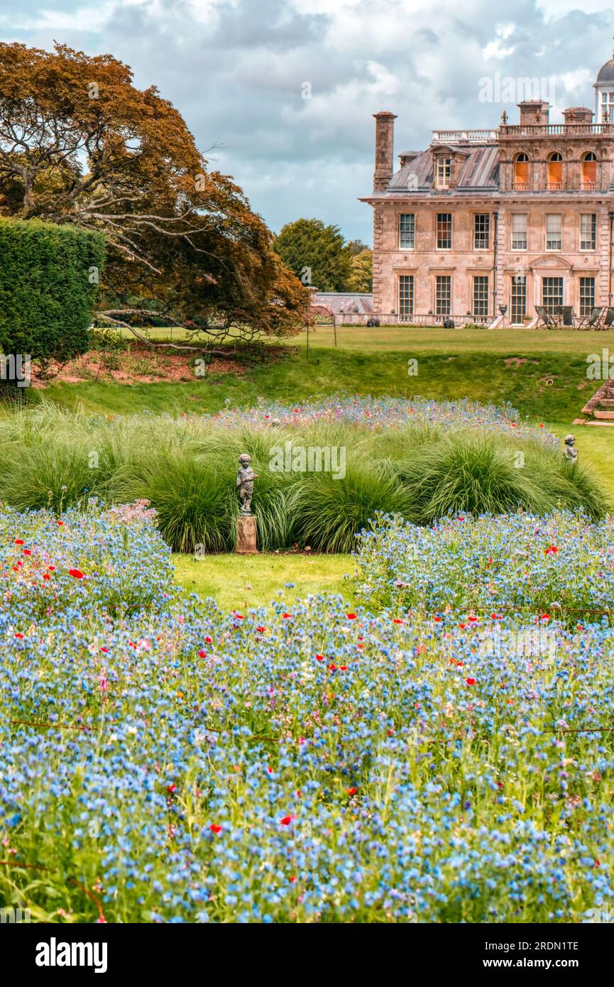 Colourful flowers in the gardens at Kingston Lacey, Wimborne Minster ...