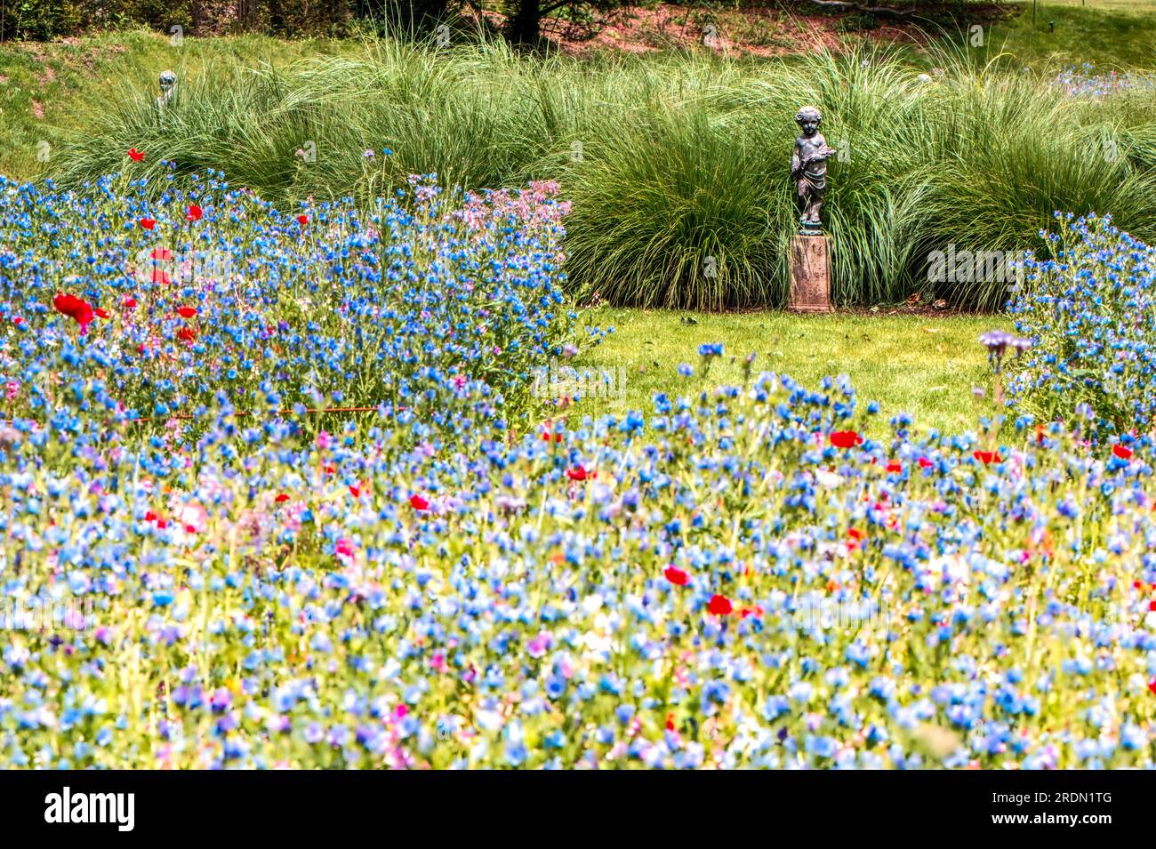 Colourful flowers in the gardens at Kingston Lacey, Wimborne Minster ...
