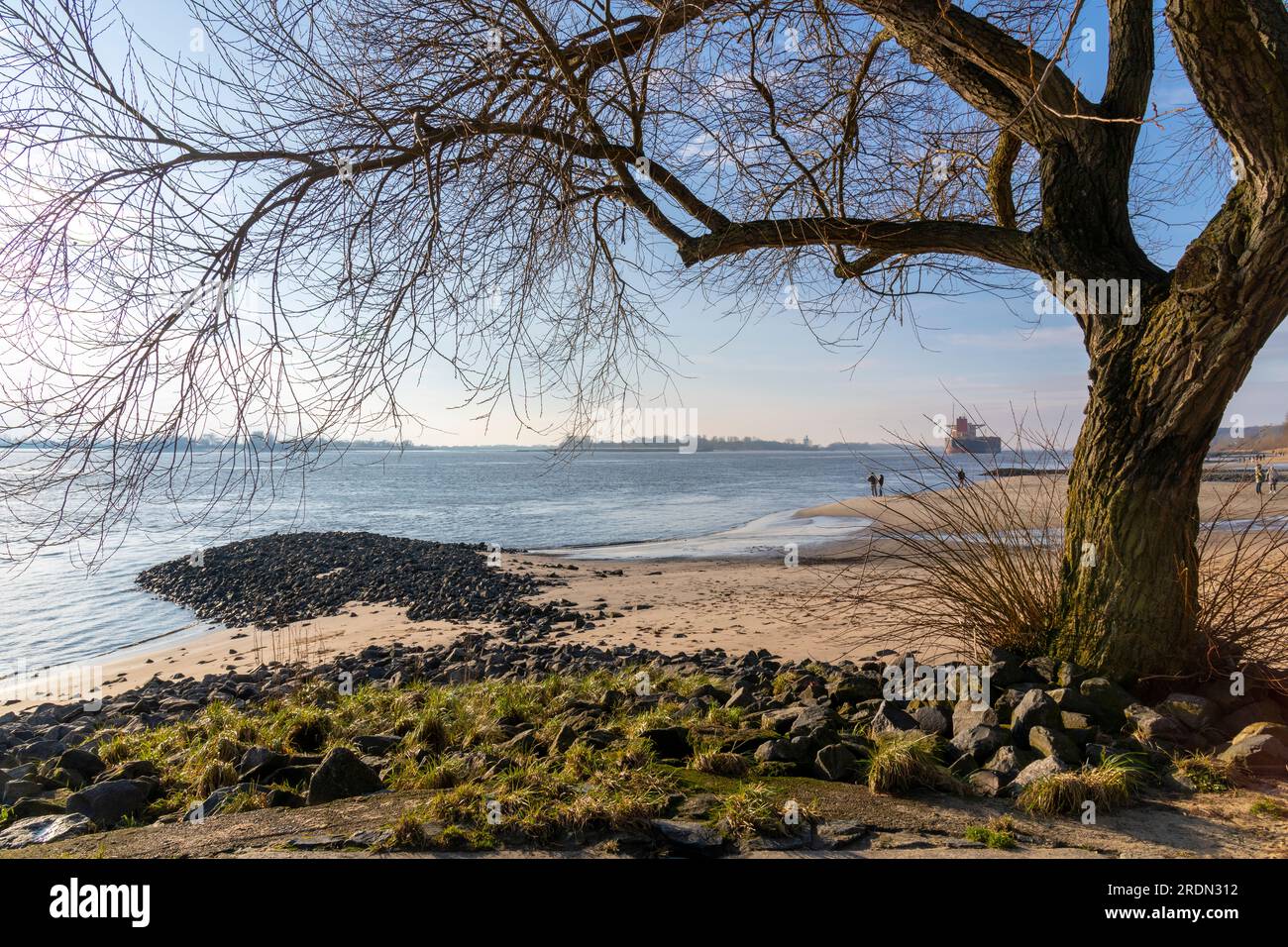 Hamburg landscape at river Elbe with beach and framed by tree Stock ...