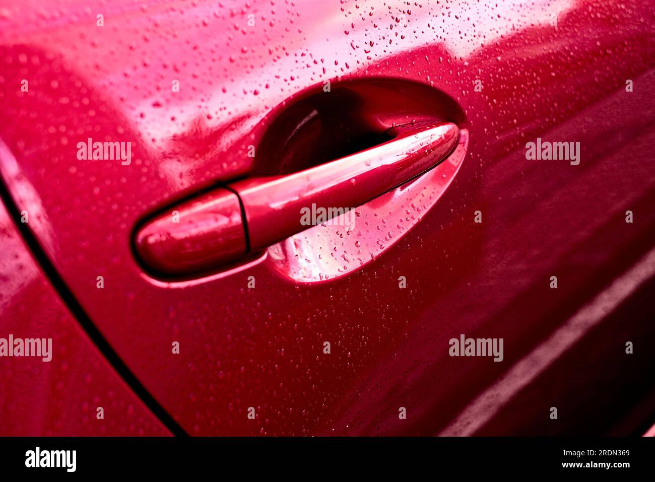 Elegant red sports car door detail with small water droplets on the ...