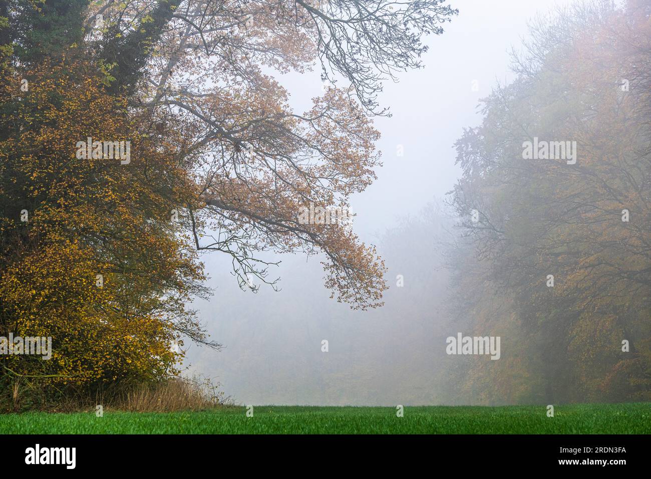 Fog in morning light hi-res stock photography and images - Alamy