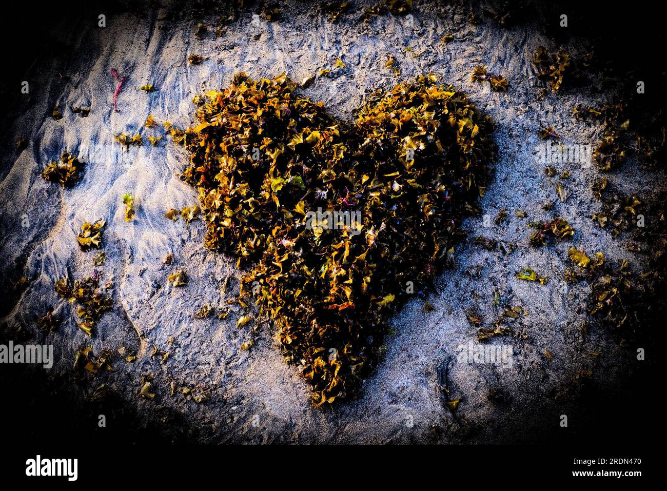 Heart shape in a vignetted oval frame Stock Photo - Alamy