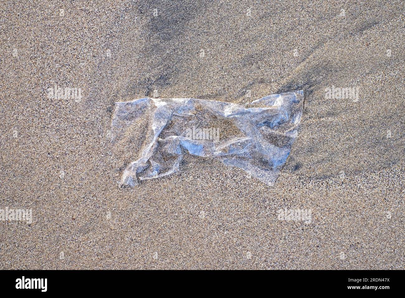 A plastic bag on wet hard sand, problem of pollution in seas and oceans ...
