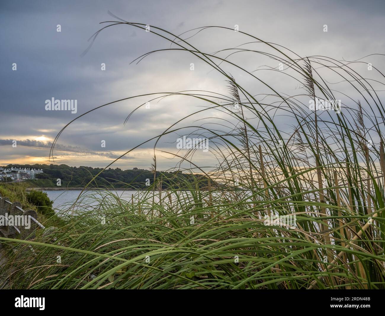 Uk summer windy day hi-res stock photography and images - Alamy