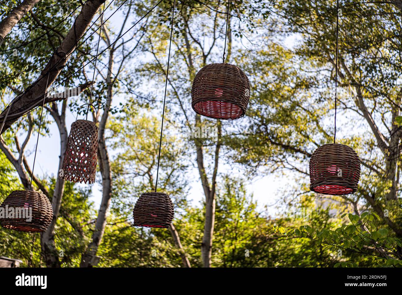 Straw lamps on the trees as a celebration decor Stock Photo - Alamy