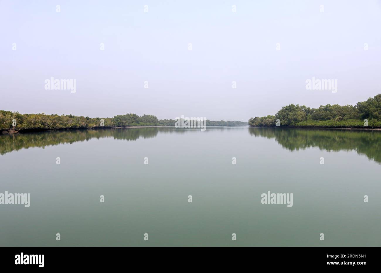 Sundarbans is a tidal wetland forest delta with an area of about 10,200 ...