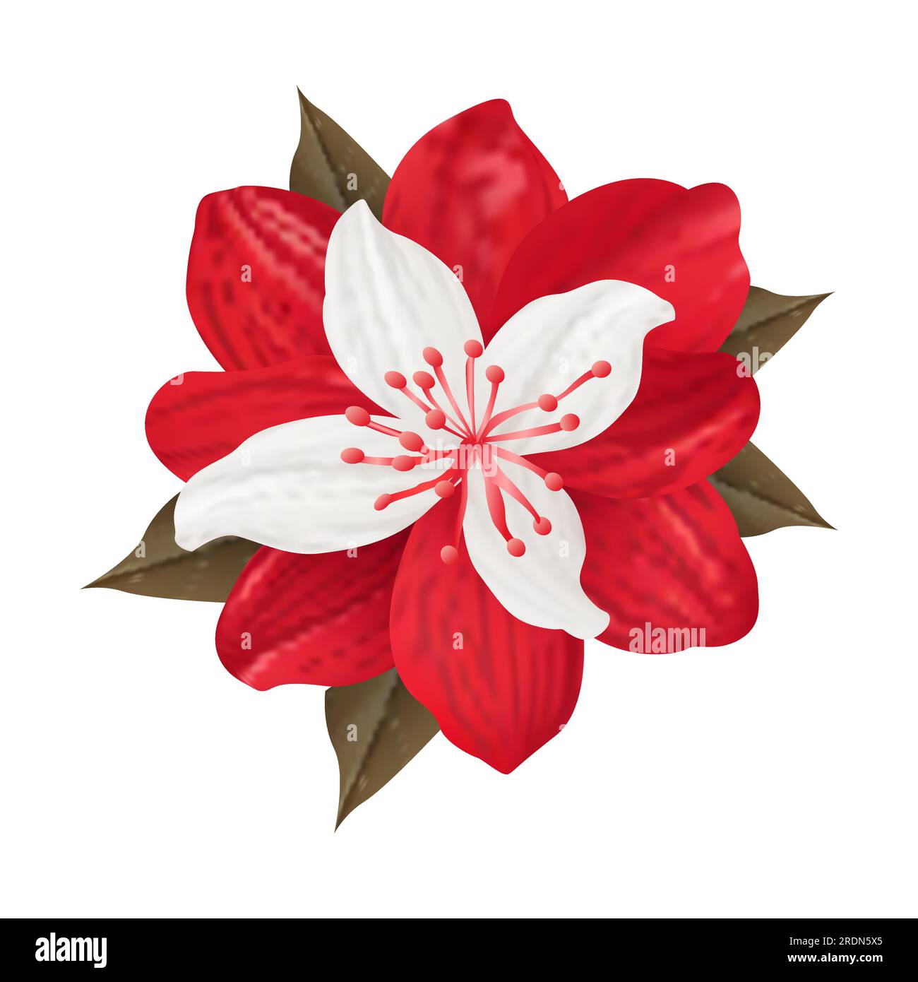 Botanical elements in various colors hi-res stock photography and ...