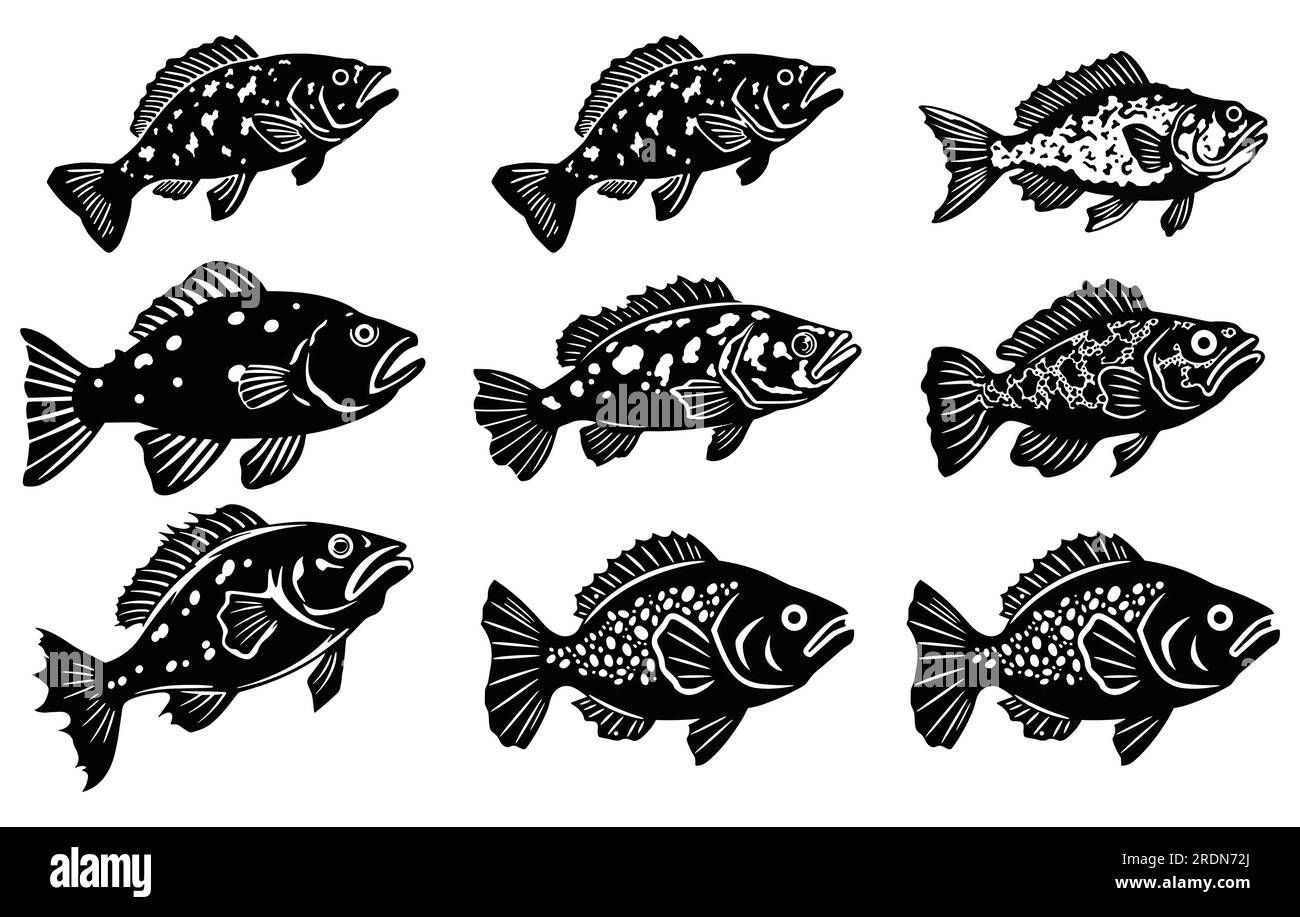 Grouper fish and shark hi-res stock photography and images - Alamy