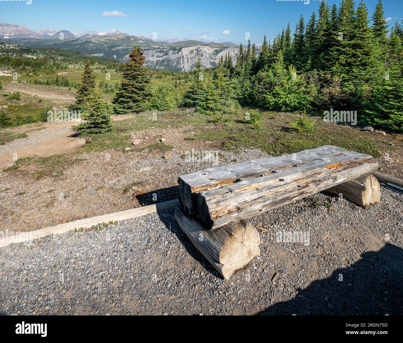 Log bench in Sunshine Meadows with a mountain valley view of Banff ...