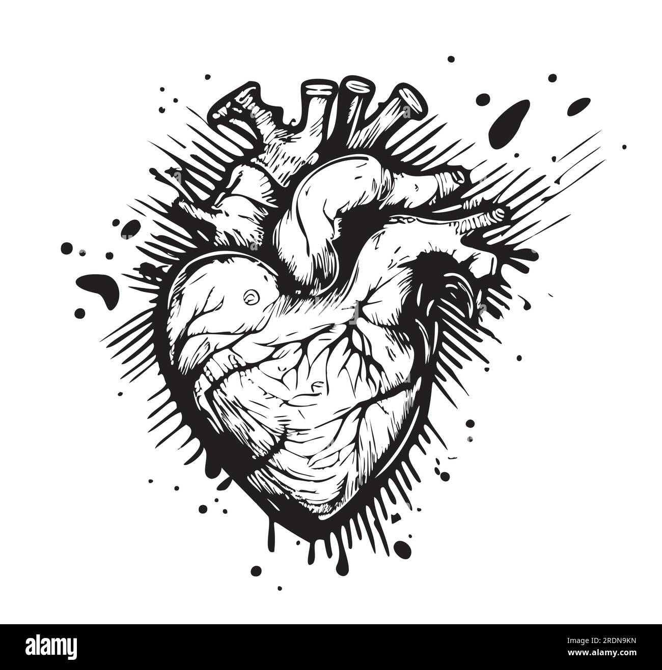 Human Heart Hand Drawn Sketch Vector Illustration Stock Vector Image