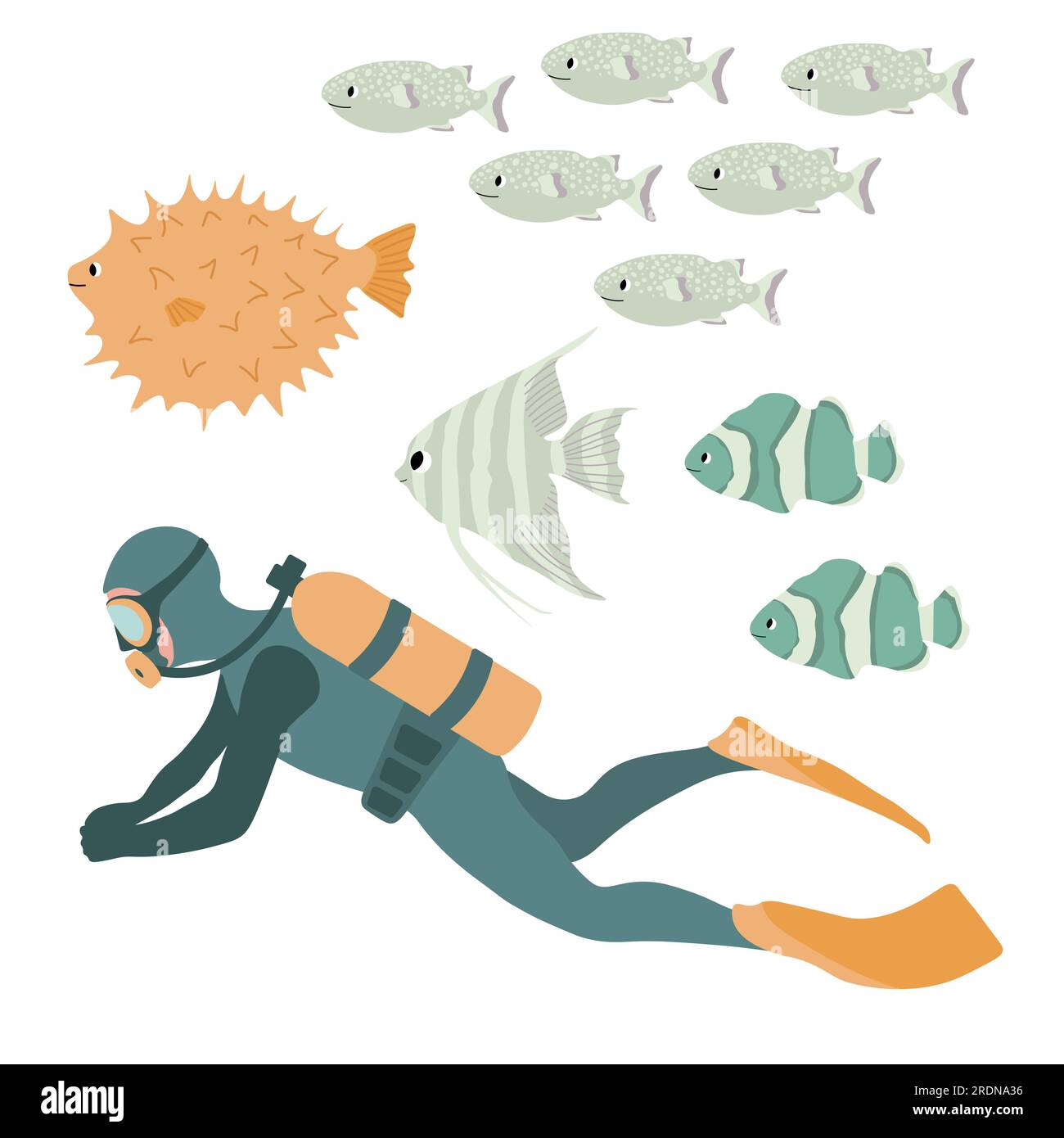 Cute vector ocean set with diver, fugu fish, scalaria, clown fish ...
