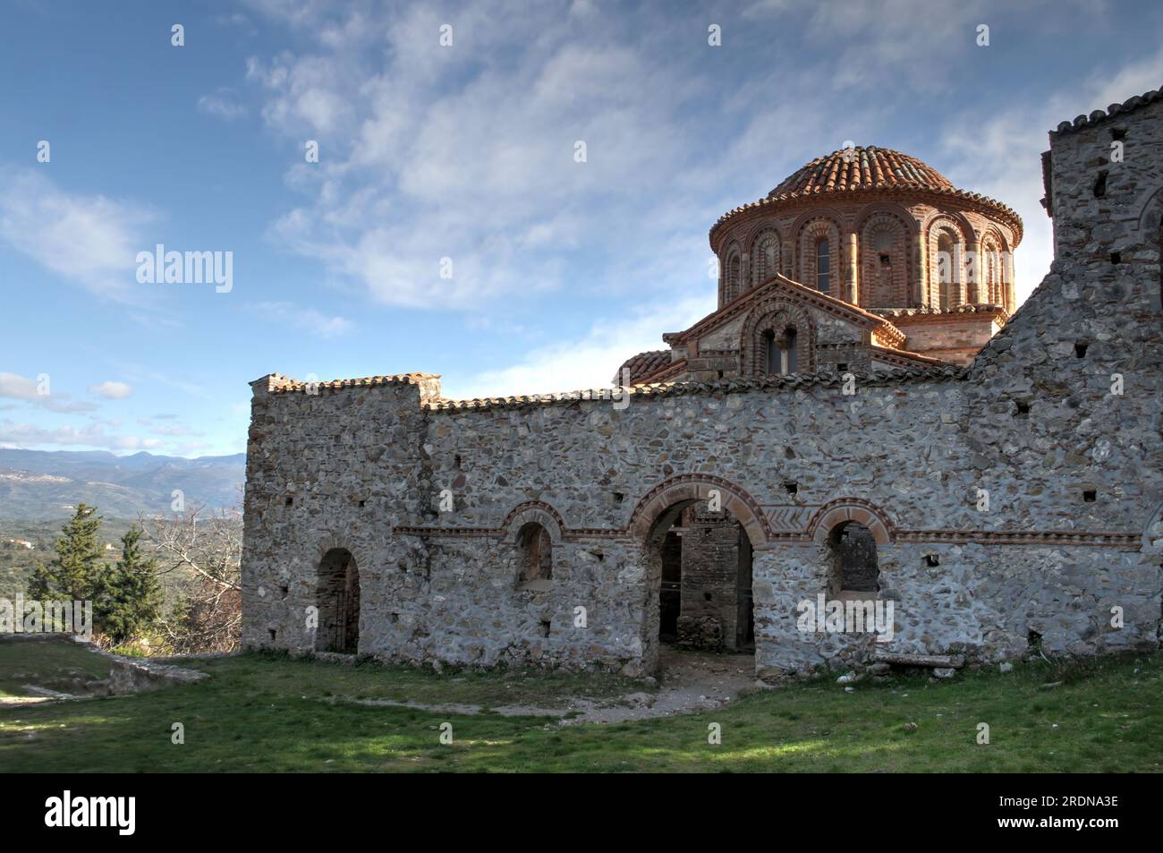 Mystra peribleptos hi-res stock photography and images - Alamy