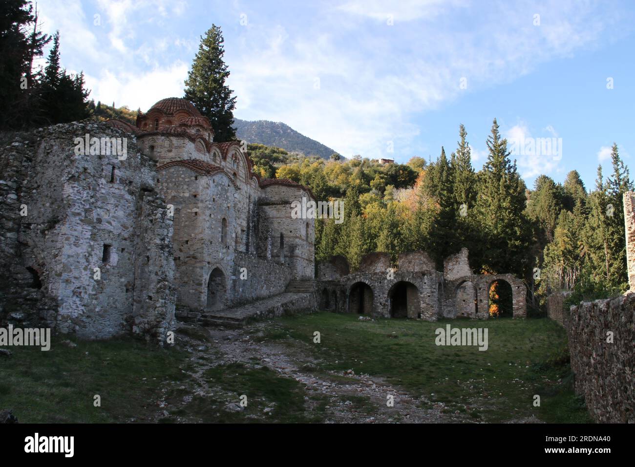 Mystra peribleptos hi-res stock photography and images - Alamy