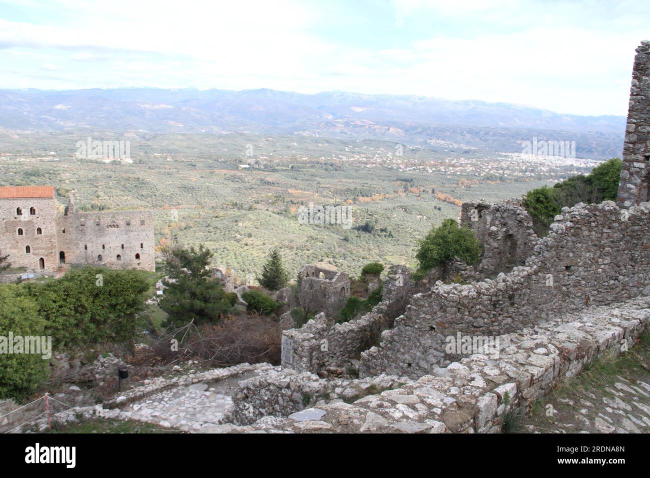 Mystra peribleptos hi-res stock photography and images - Alamy