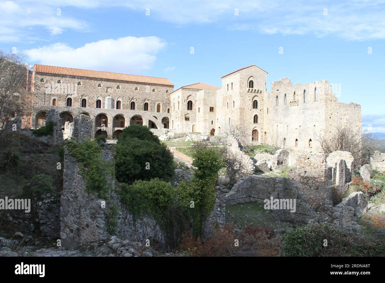 Mystra peribleptos hi-res stock photography and images - Alamy