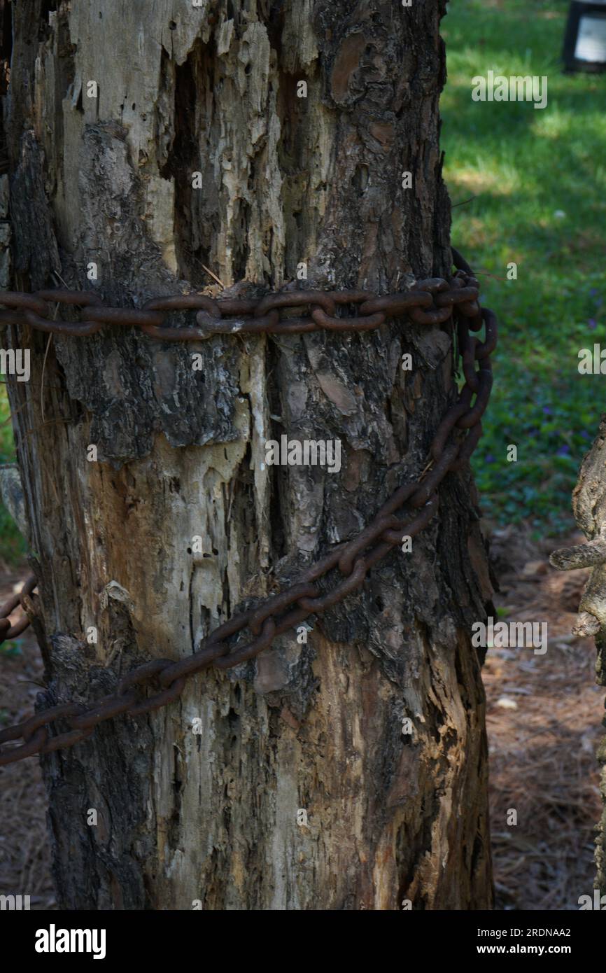 Chain wrapped around tree hi-res stock photography and images - Alamy