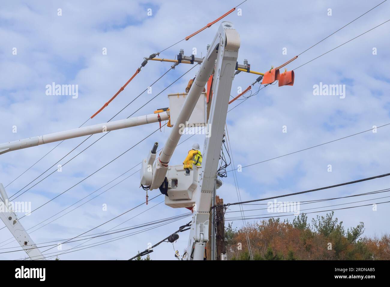 Handling damage caused by hurricane requires dedicated efforts of ...