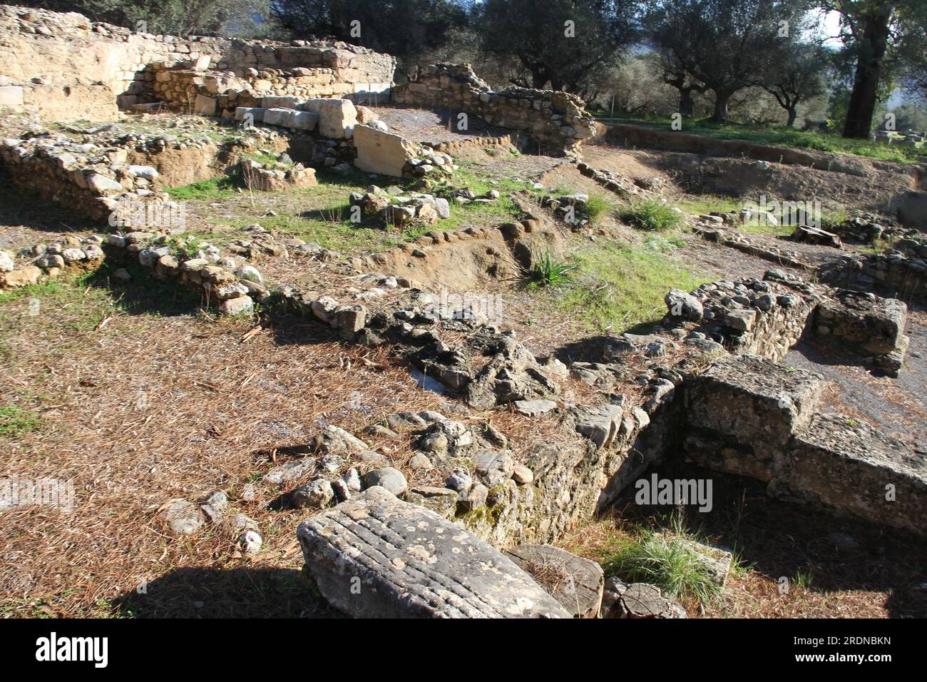 Ruins of Ancient Sparta in Greece Stock Photo - Alamy