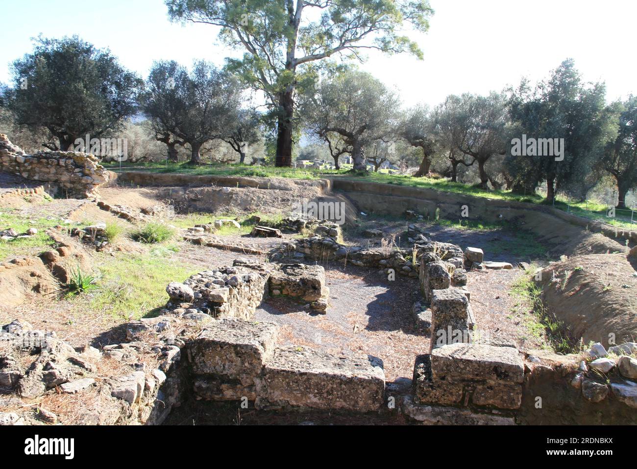 Ruins of Ancient Sparta in Greece Stock Photo - Alamy